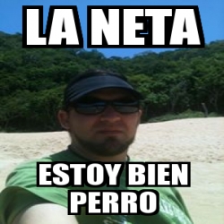 Meme Personalizado - la neta estoy bien perro - 5131597
