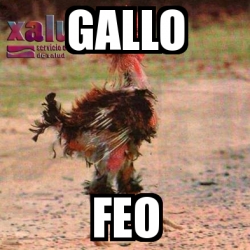 Meme Personalizado - Gallo Feo - 5279707