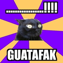 Meme Anxiety Cat - .................!!!! guaTAFAK - 5056746