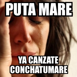 Meme Problems - PUTA MARE YA CANZATE CONCHATUMARE - 5071626