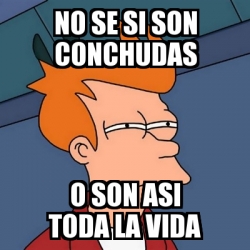 Meme Futurama Fry - no se si son conchudas o son asi toda la vida - 5767137