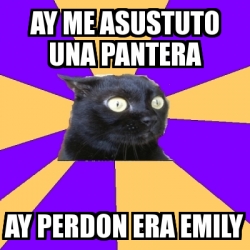 Meme Anxiety Cat - ay me asustuto una pantera ay perdon era emily - 6011787