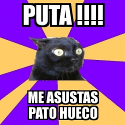 Meme Anxiety Cat - puta !!!! me asustas pato hueco - 6105531
