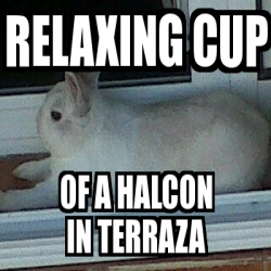 Meme Personalizado - RelaxiNg cup Of a halcon in terraza - 6327034