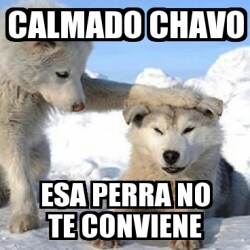 Meme Personalizado - calmado chavo esa perra no te conviene - 6438262