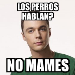Meme Sheldon Cooper - los perros hablan? no mames - 7178362