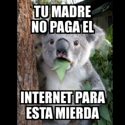 Meme Koala - tU MADRE NO PAGA EL INTERNET PARA ESTA MIERDA - 7997217