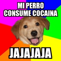Meme Advice Dog - mi perro consume cocaina jajajaja - 8919442